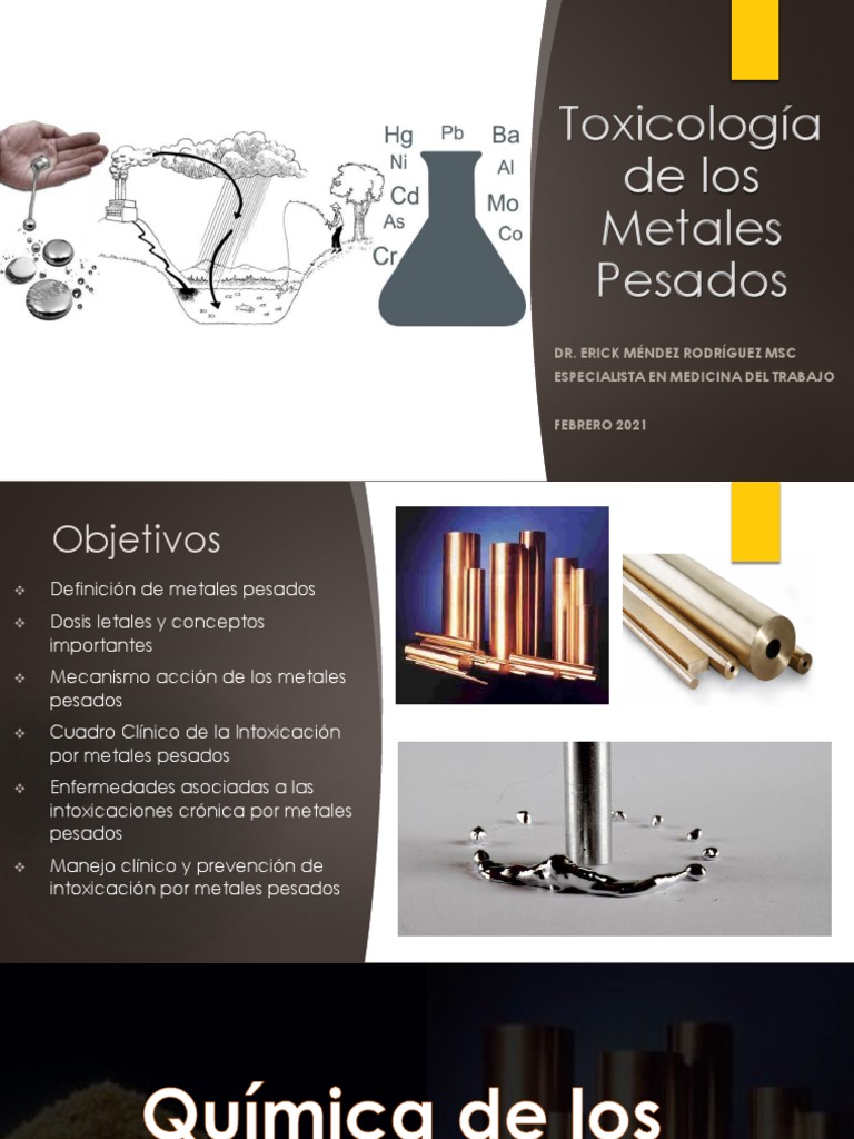 Toxicidad y manejo de metales pesados | PDF | Mercurio (Elemento) | Cromo