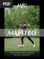 ZTH Player Accelerator Training Plan | PDF | Foot | Ball Games