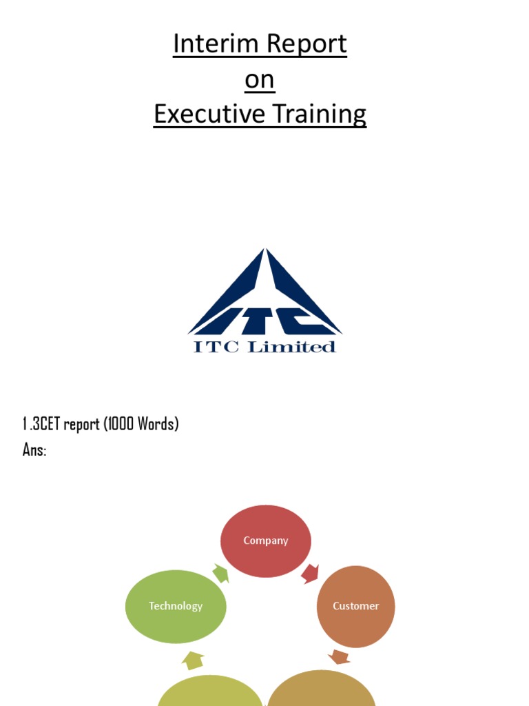 Interim Report - Sample | PDF | Retail | Economies