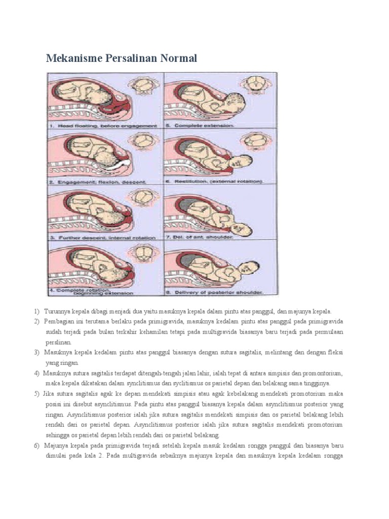 Mekanisme Persalinan Normalll | PDF | Kesehatan Holistik