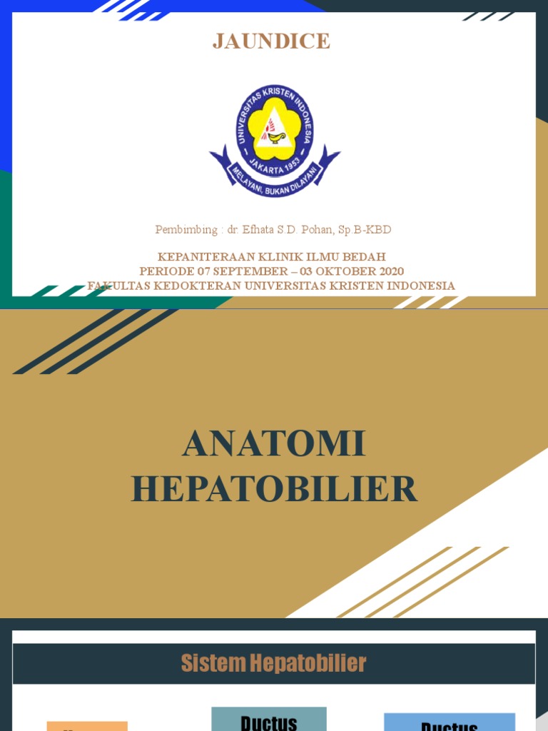 Jaundice - Dr. Surya Andy Pohan, SPB-KBD | PDF