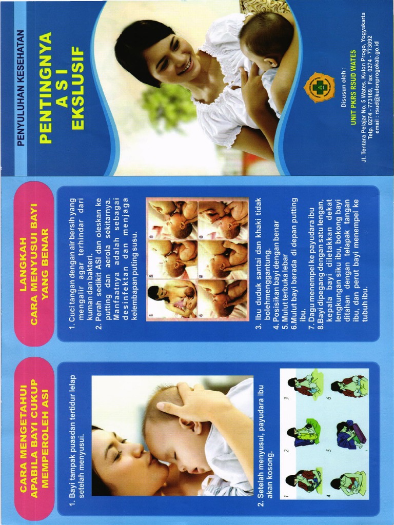 Leaflet ASI Eksklusif | PDF