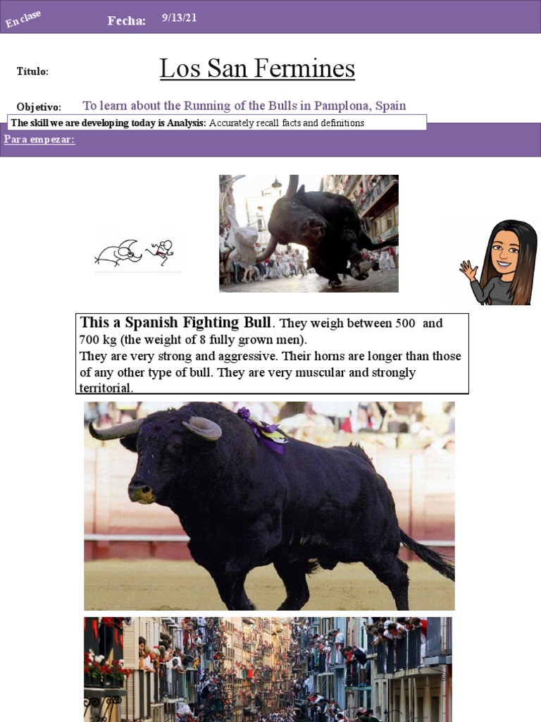Los San Fermines | Download Free PDF | Bullfighting | Bull