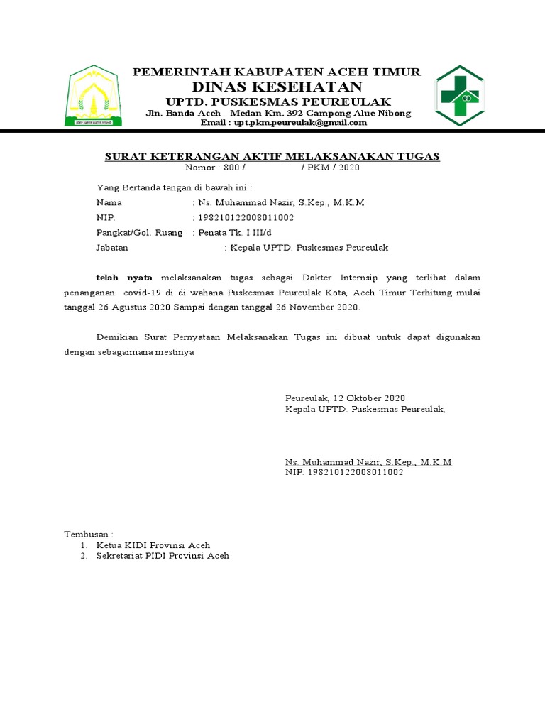 SPMT Dokter Internship | PDF