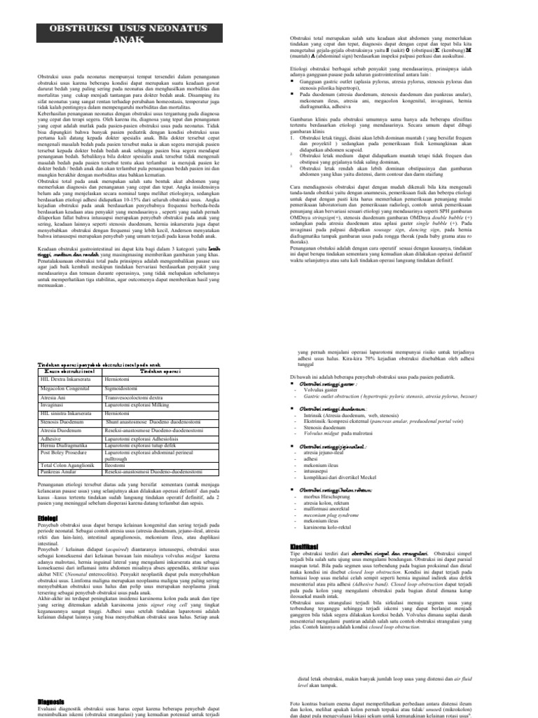Obstruksi Usus Neonatus Anak-RD2002 | PDF