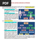Foramen Ciático Mayor y Menor | PDF | Historia