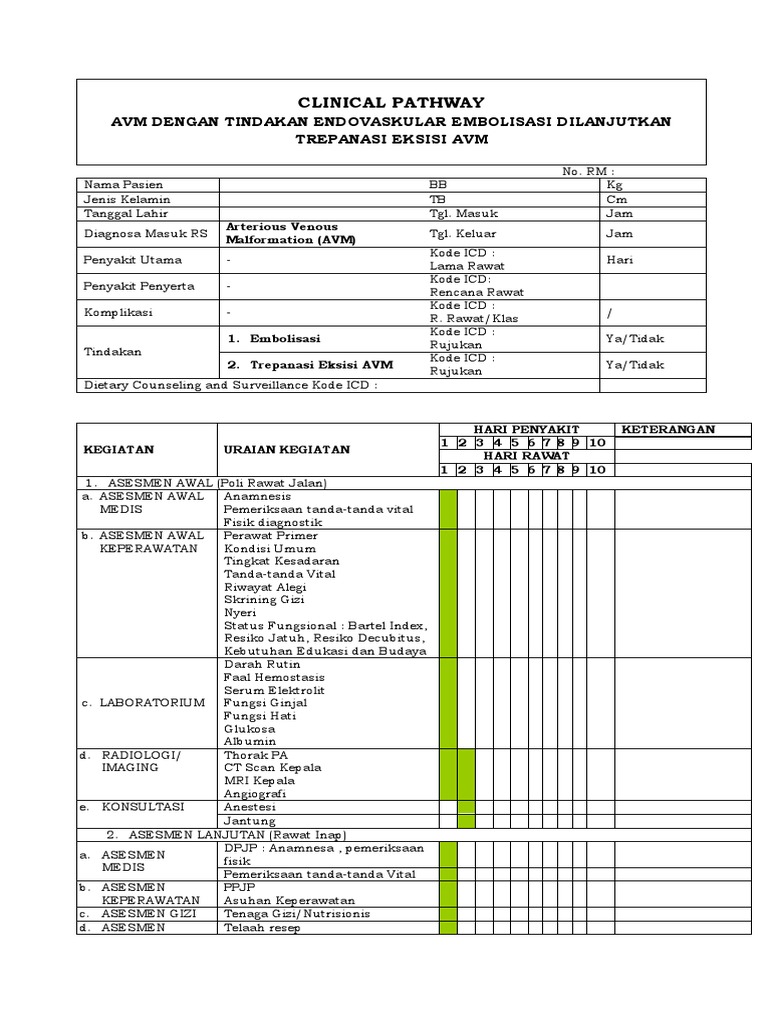 Clinical Pathway Avm - Embolisasi - Trepanasi | PDF