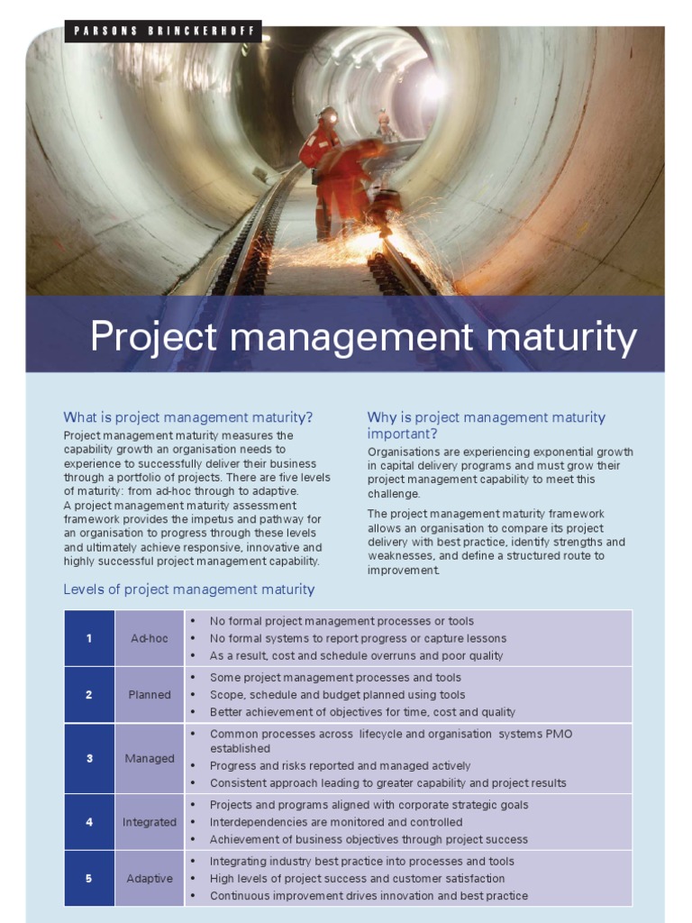 Understanding Project Management Maturity | PDF