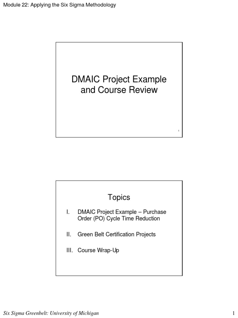 DMAIC Project Example | PDF | Six Sigma | Standard Deviation
