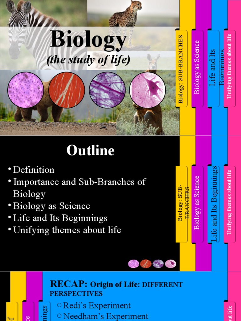 1.3) Characteristics of Living Things | PDF | Epithelium | Tissue (Biology)