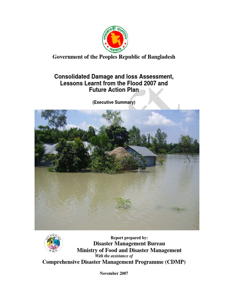 (Executive Summary) : With The Assistance of | PDF | Emergency ...