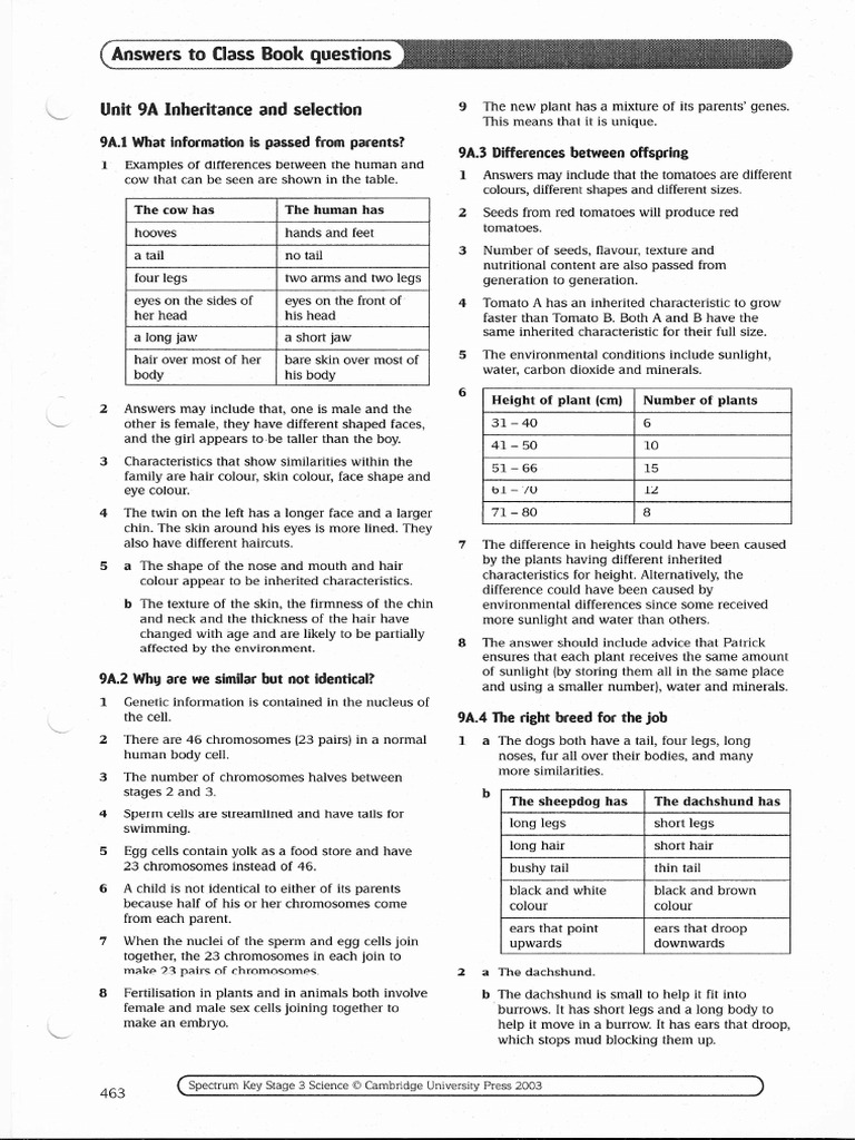 Year 9 Answers Sheet | PDF