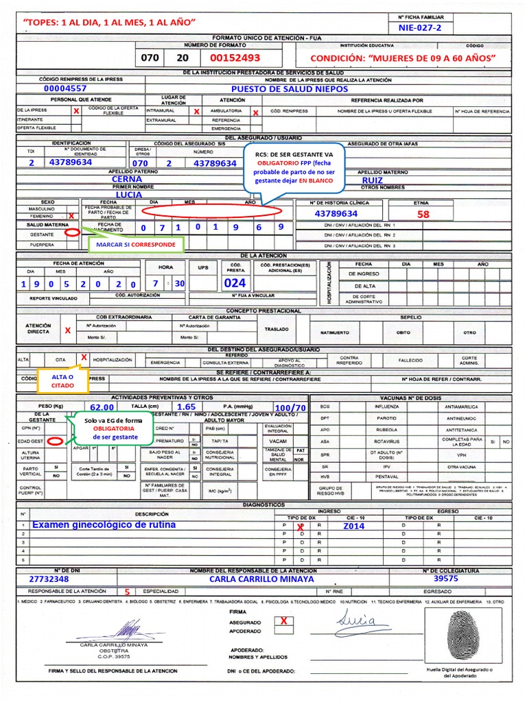Modelo de Fua - 024 | PDF