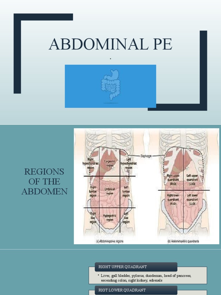 Abdominal Pe | PDF | Abdomen | Hand
