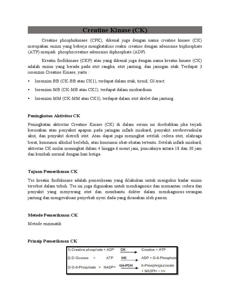 Creatine Kinase (CK) | PDF