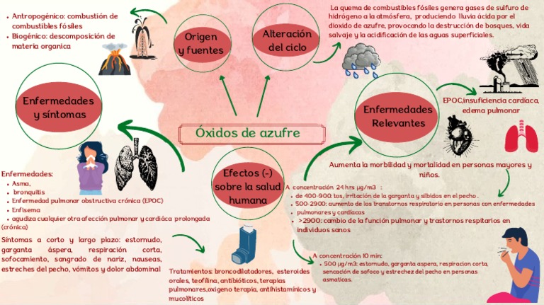Mapa Conceptual de EPOC y Asma | PDF | Enfermedad pulmonar obstructiva crónica | Pulmón