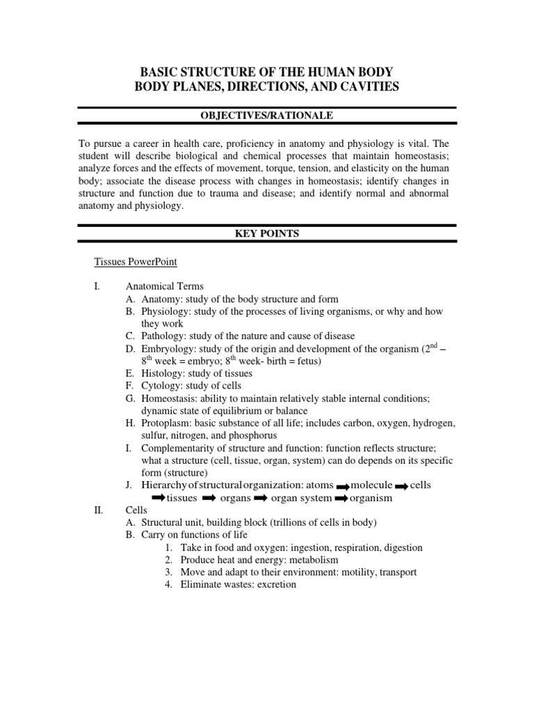 Basic Structure of the Human Body: Body Planes, Directions, and ...