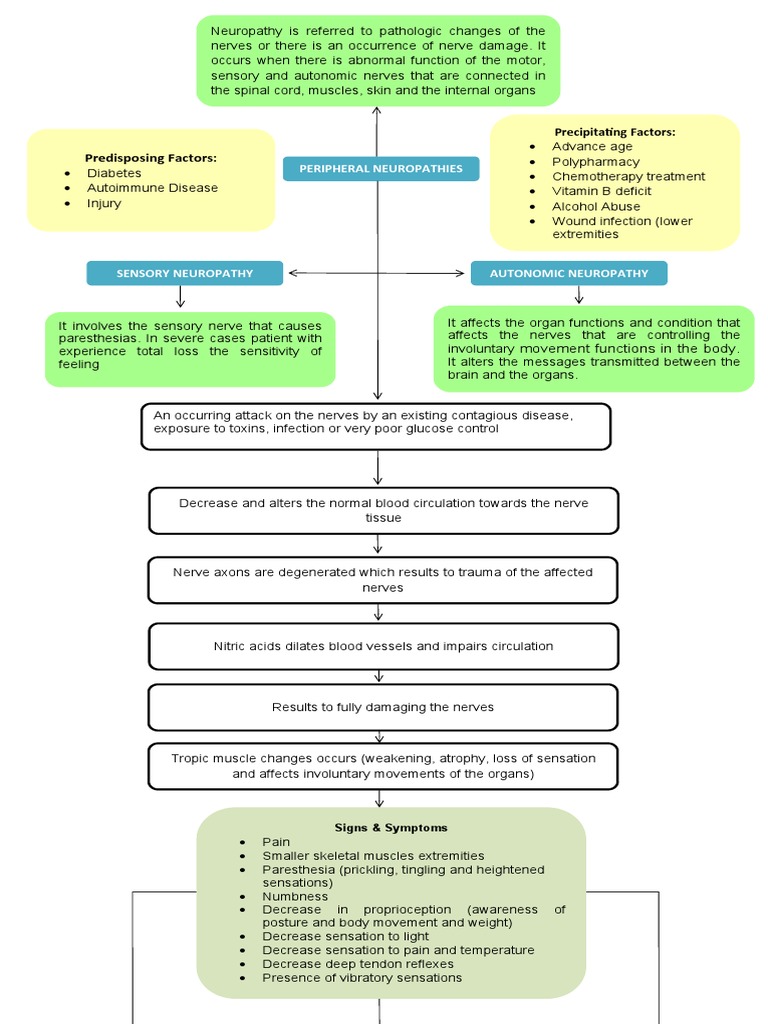 Peripheral Neuropathies Patho | PDF | Peripheral Neuropathy | Paresthesia