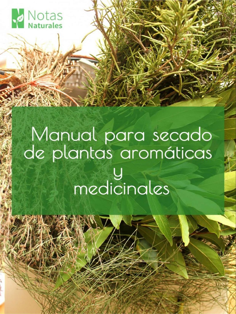Manual Para Secado De Plantas Aromaticas Y Medicinales En Casa Pdf