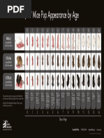 JAX Mice Pup Appearance by Age: Balb/Cj | PDF