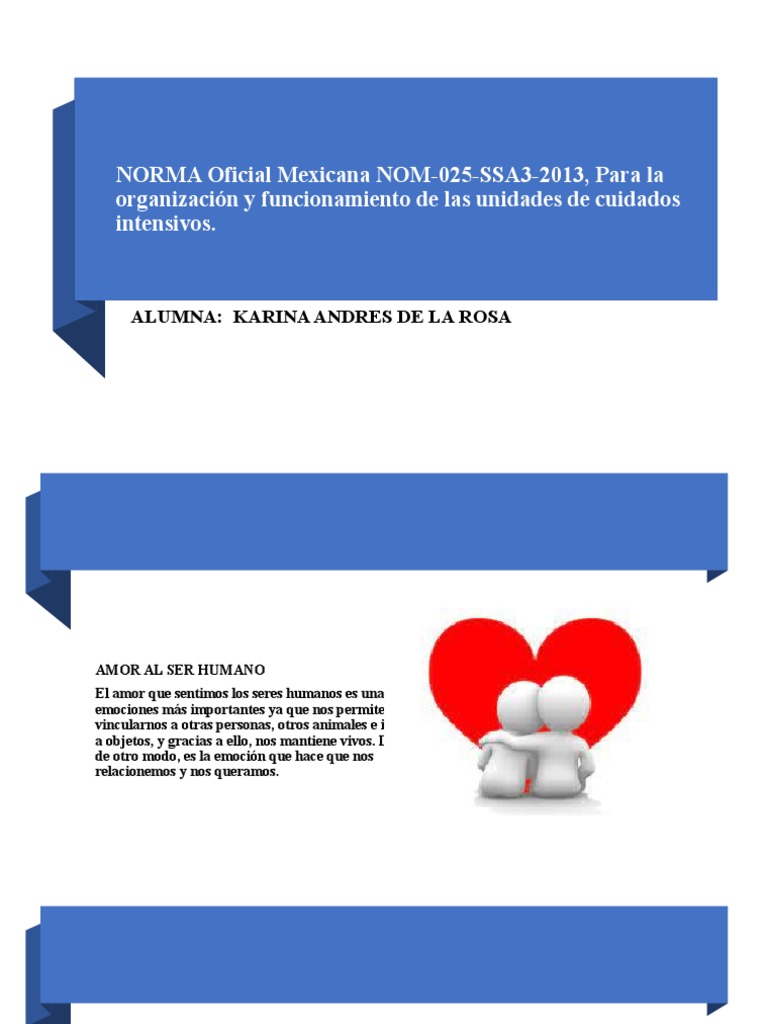1.-NORMA Oficial Mexicana NOM-025-SSA3-2013, para La Organización | PDF | Unidad de Cuidados ...