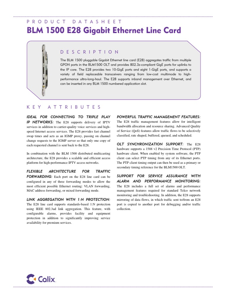 BLM 1500 E28 Gigabit Ethernet Line Card: Product Datasheet | PDF ...