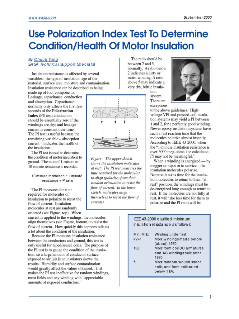 Use Polarization Index Test To Determine Condition - Health of Motor ...