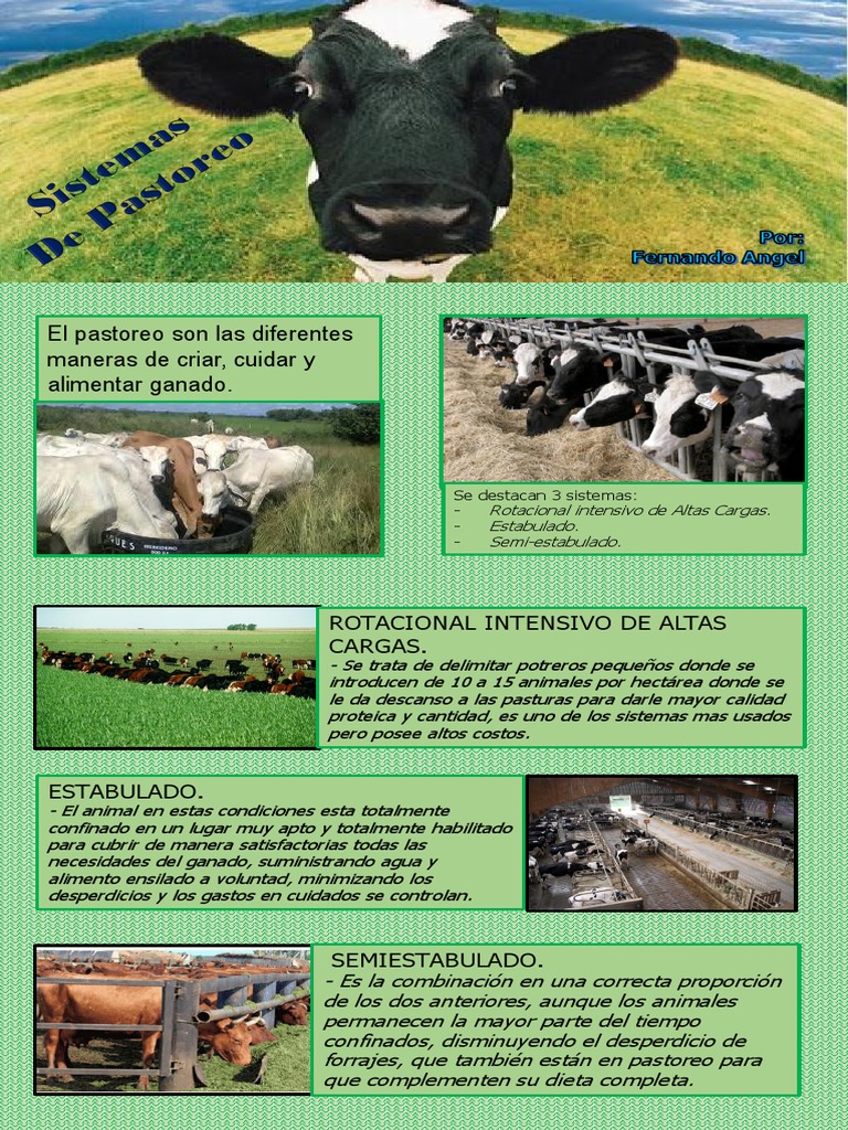 Infografia - Pastoreo | PDF