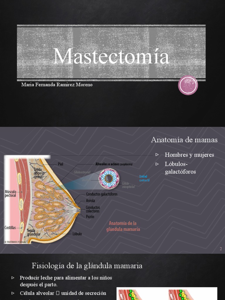 Mastectomía: Anatomía, Fisiología, Patologías, Tratamiento y Cuidados ...