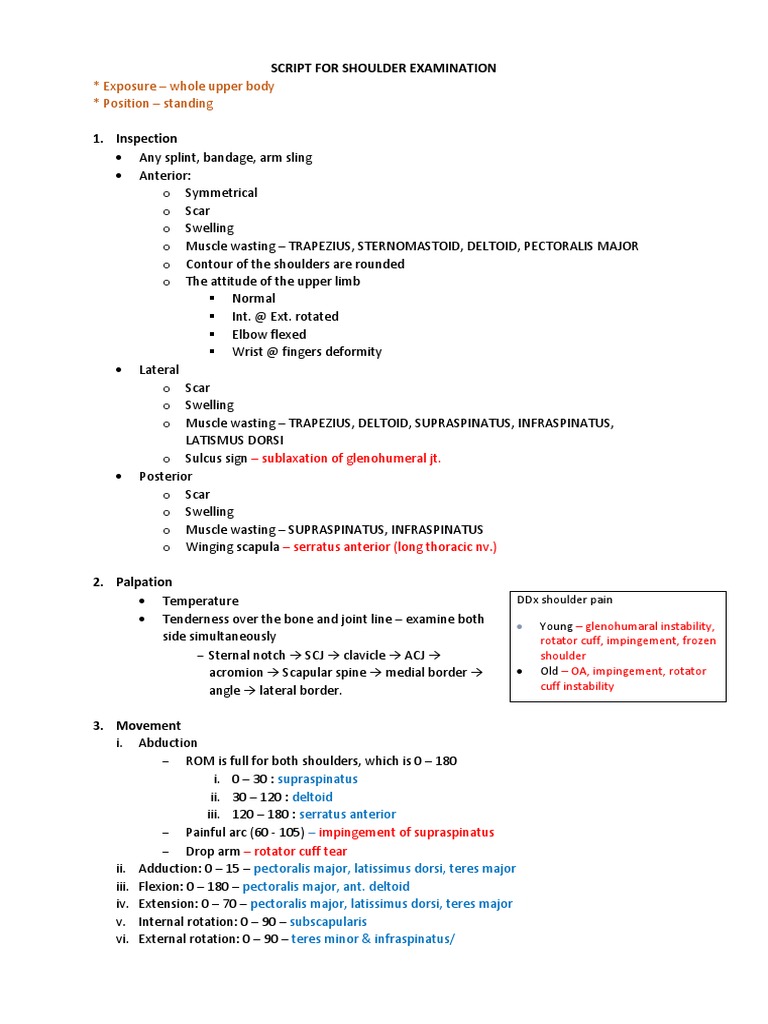 SCRIPT Ortho | PDF | Anatomical Terms Of Motion | Knee