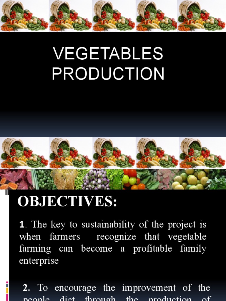 Vegetable Farming Guide for Caraga | PDF | Mulch | Soil