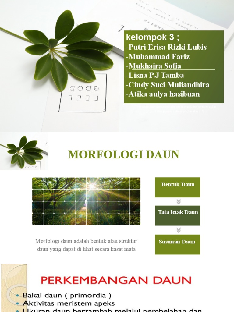 DAUN | PDF