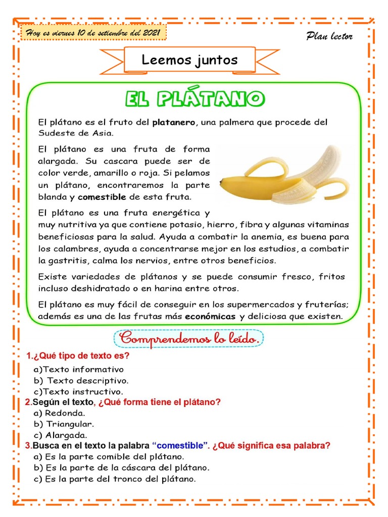 Plan Lector El Plátano | PDF