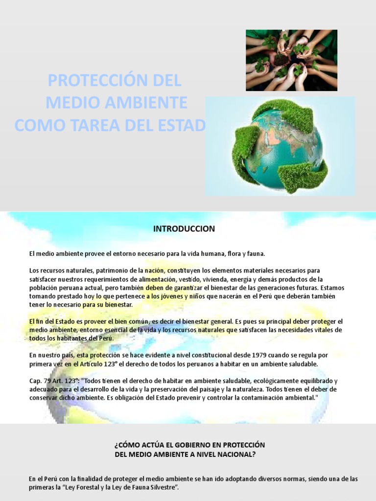 SEMANA 4 Protección-Del-Medio-Ambiente | PDF | Residuos | Entorno natural