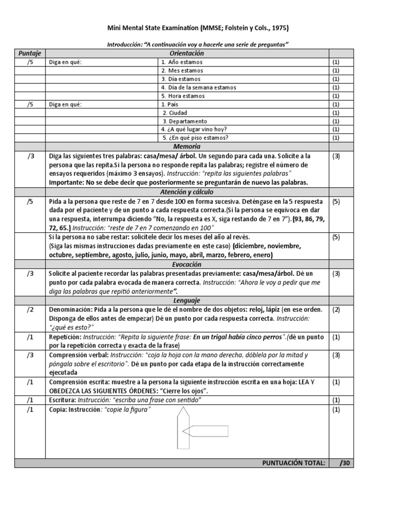 MMSE Mini Mental State Examination | PDF