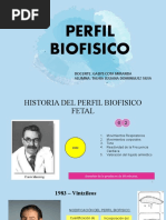 Efecto Poseiro | PDF | Placenta | Feto