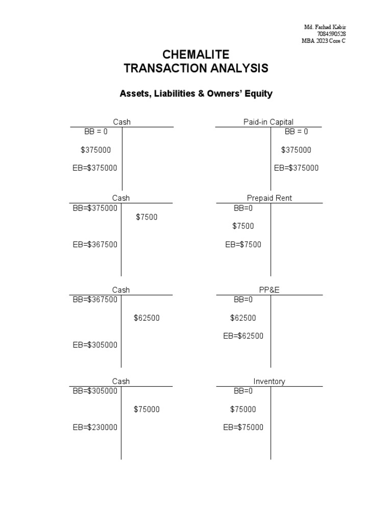 Chemalite Accounting | PDF | Expense | Equity (Finance)