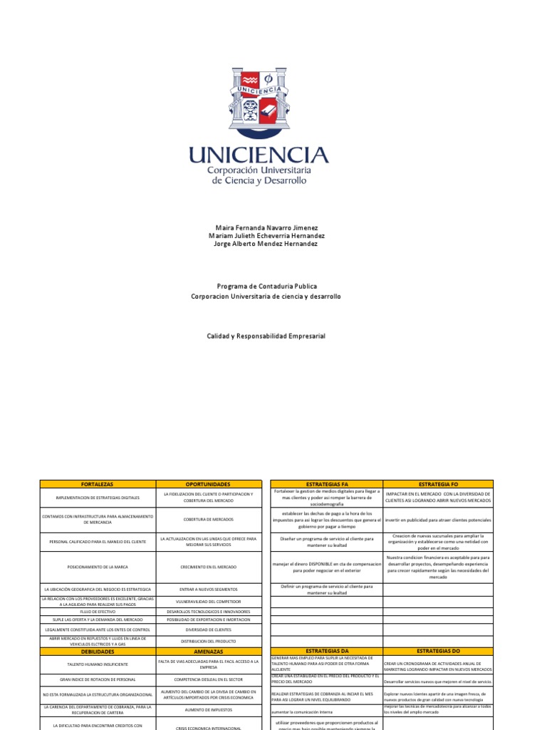 Matriz Dofa | PDF | Marketing | Mercado (economía)