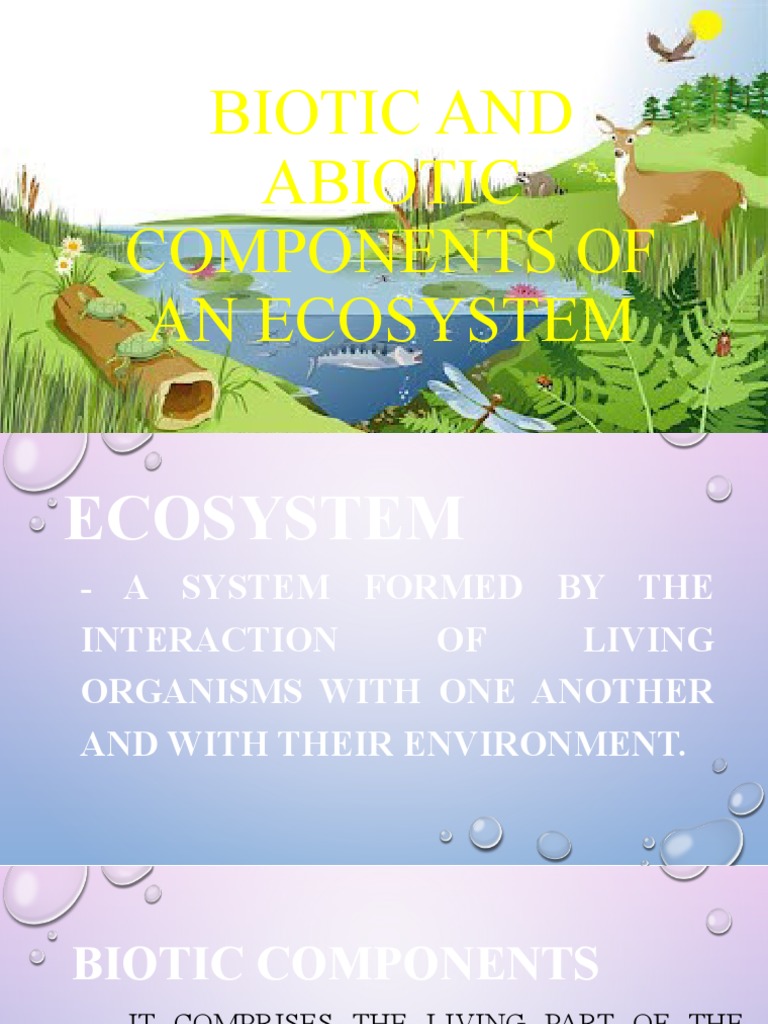 Biotic and Abiotic Ecosystem Components | PDF | Soil | Natural Environment