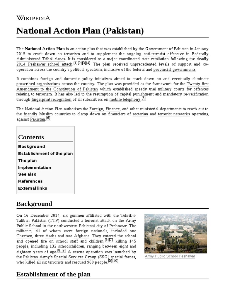 National Action Plan Overview | PDF | Government | Politics Of Pakistan