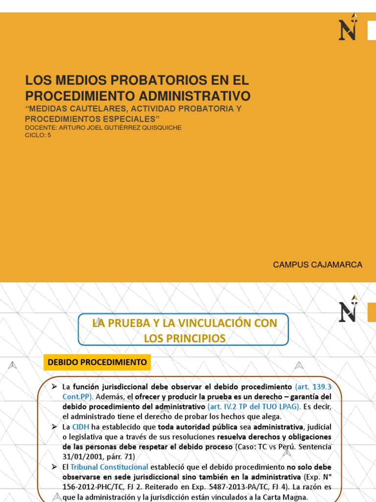 Los Medios Probatorios | PDF | Jurisdicción | Testigo experto