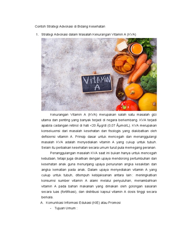 Contoh Strategi Advokasi Di Bidang Kesehatan | PDF