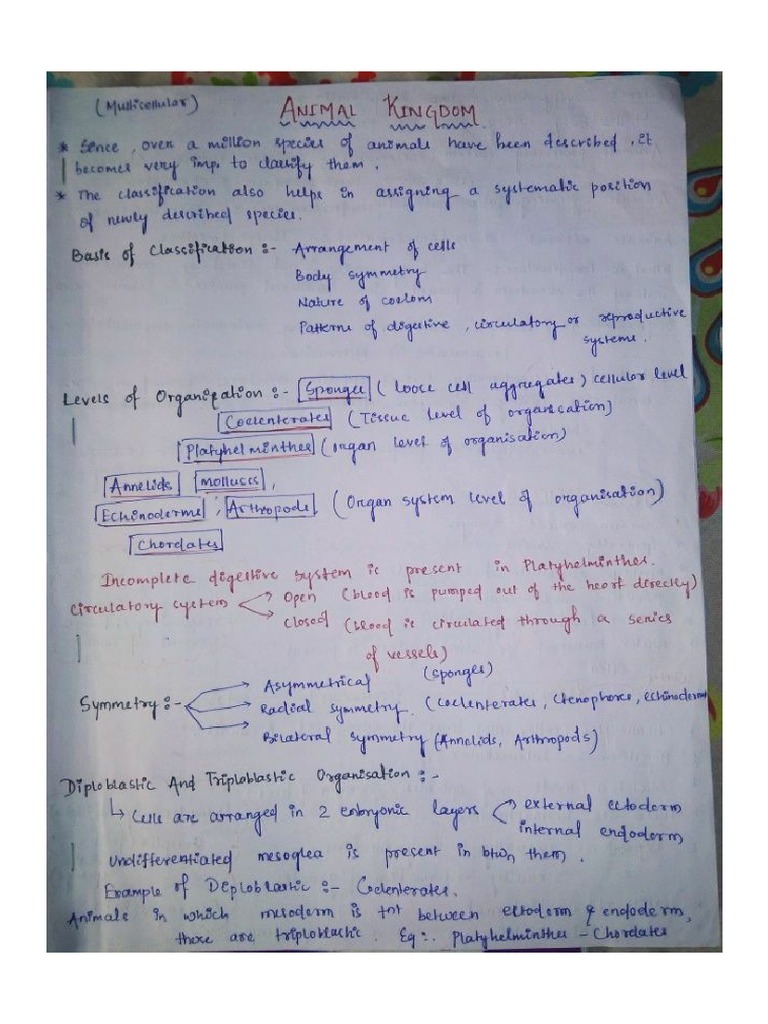 Animal Kingdom Hand Written Notes | PDF