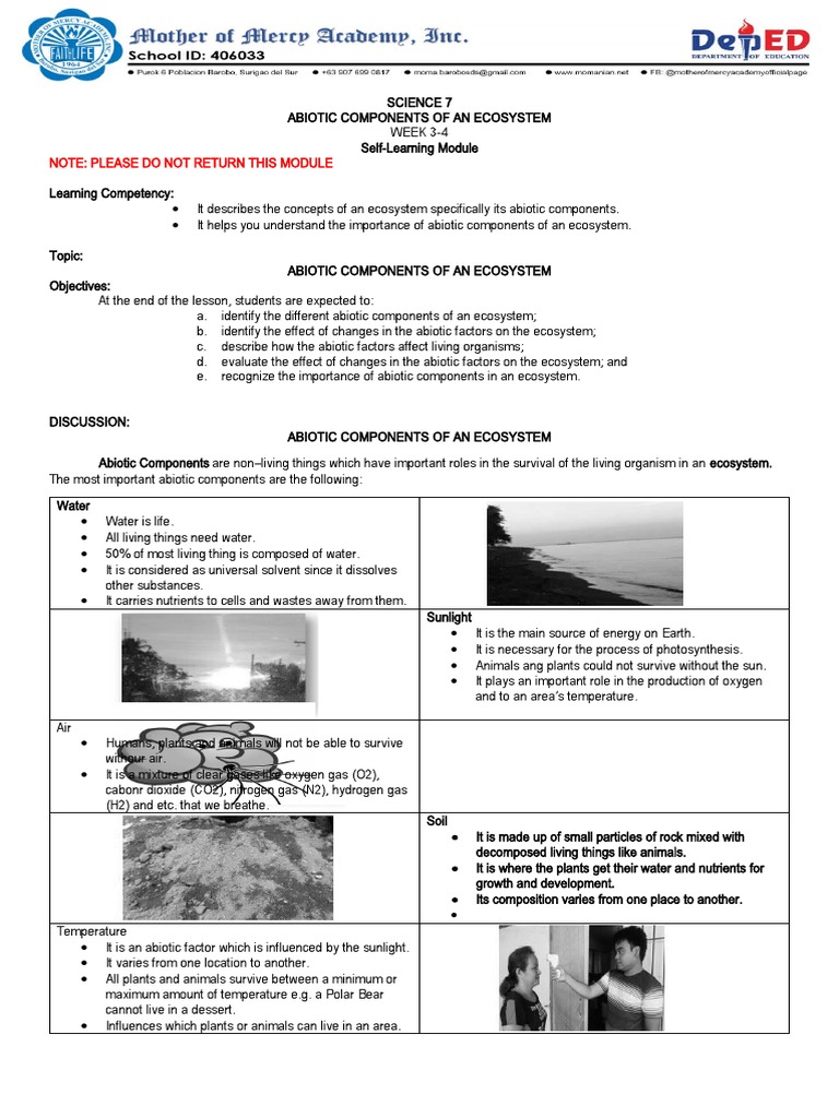 ENVIRONMENTAL SCIENCE 7 WEEK 3-4 (1st Grading) | PDF | Ecosystem | Soil