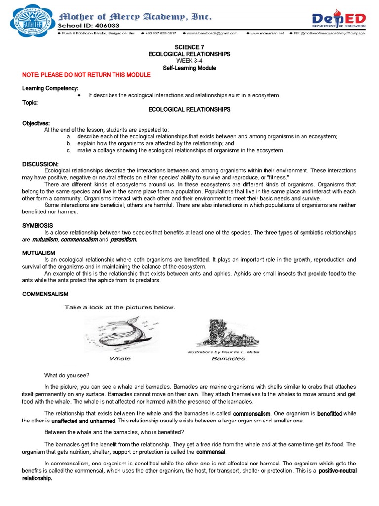 ENVIRONMENTAL SCIENCE 7 WEEK 5-6 (1st Grading) | PDF | Predation | Ecology