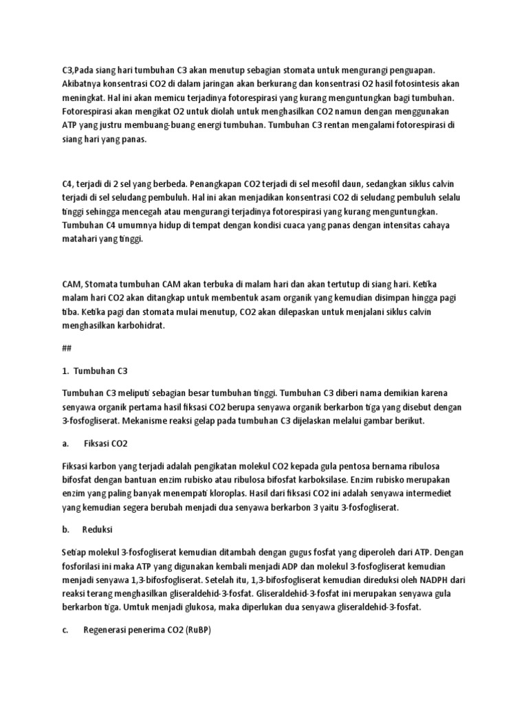 C3, C4, Dan CAM | PDF