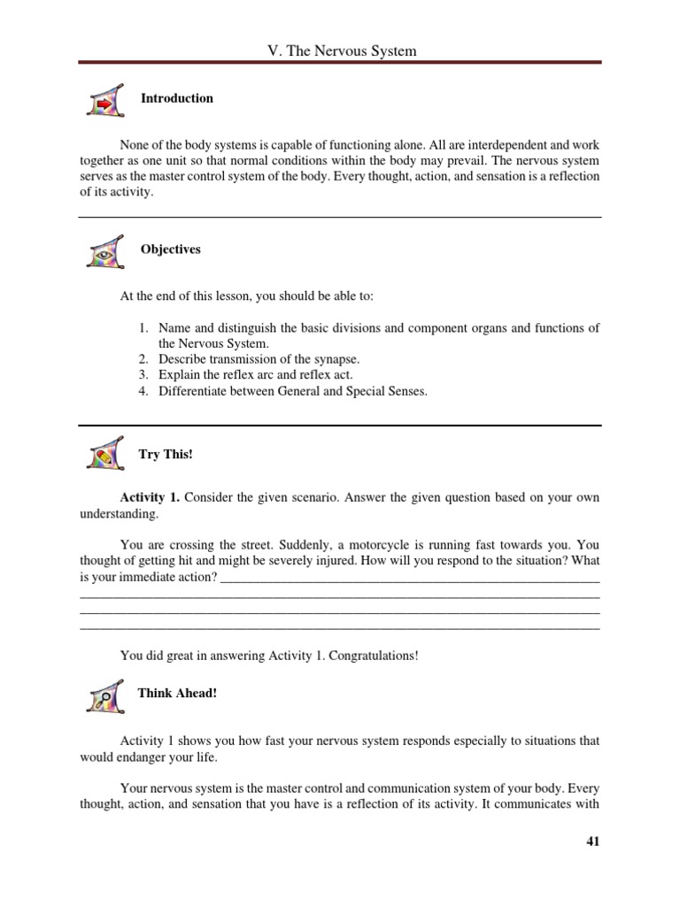 Module Nervous System | PDF | Neuron | Central Nervous System