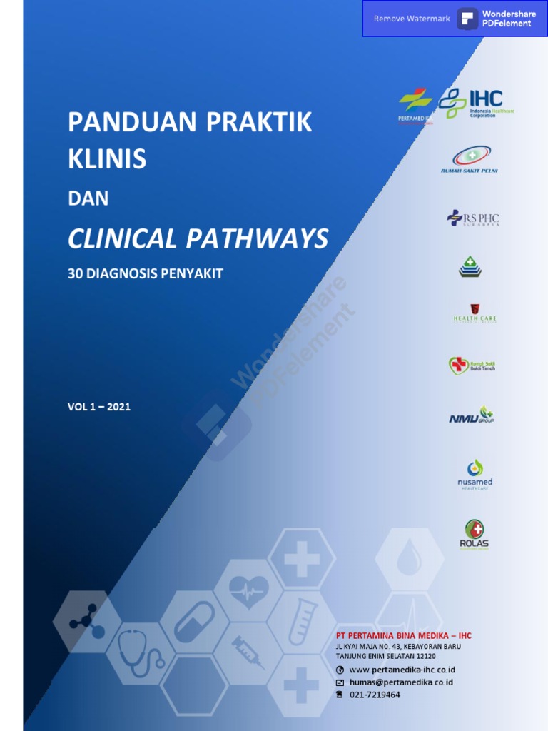 Panduan Praktik Klinis dan Clinical Pathways 30 Diagnosa Penyakit Vol 1 – 2021 | PDF