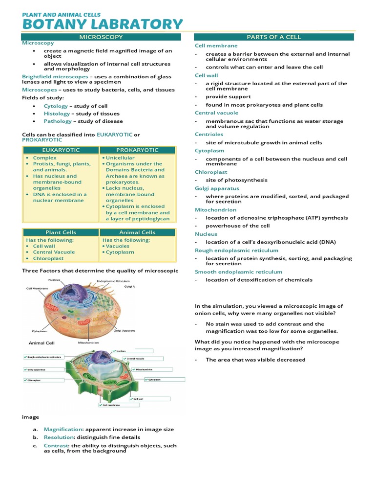 Botany LAB Plant and Animal Cells | PDF | Tissue (Biology) | Cell (Biology)