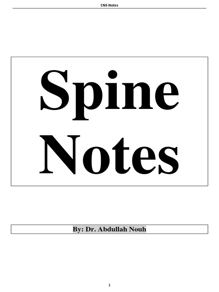 Spine Notes: By: Dr. Abdullah Nouh | Download Free PDF | Spinal Cord ...